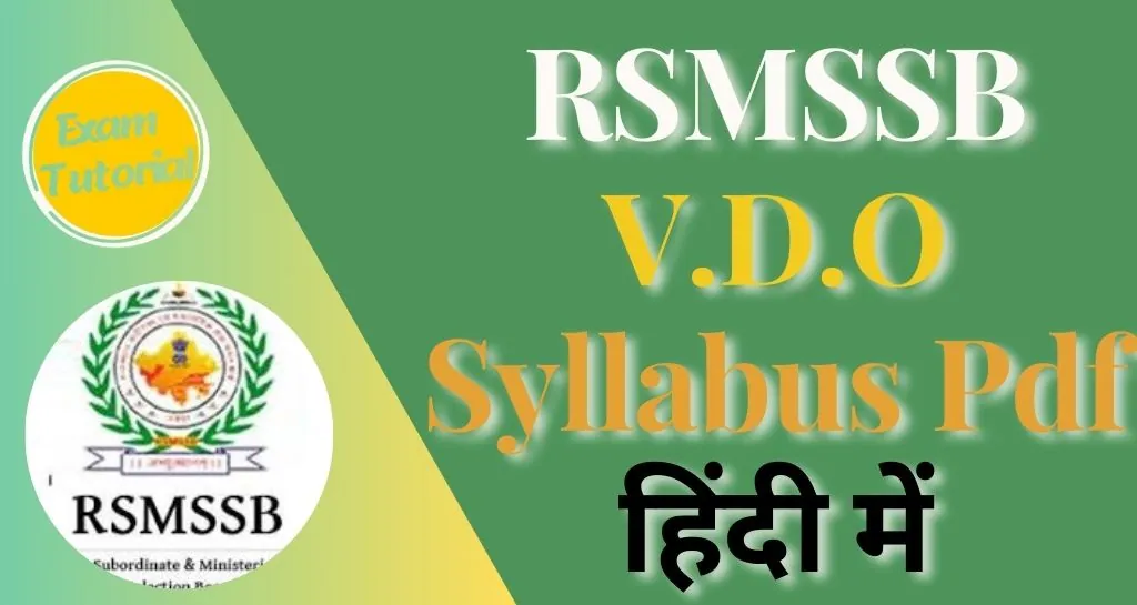 RSMSSB VDO Syllabus हिंदी में